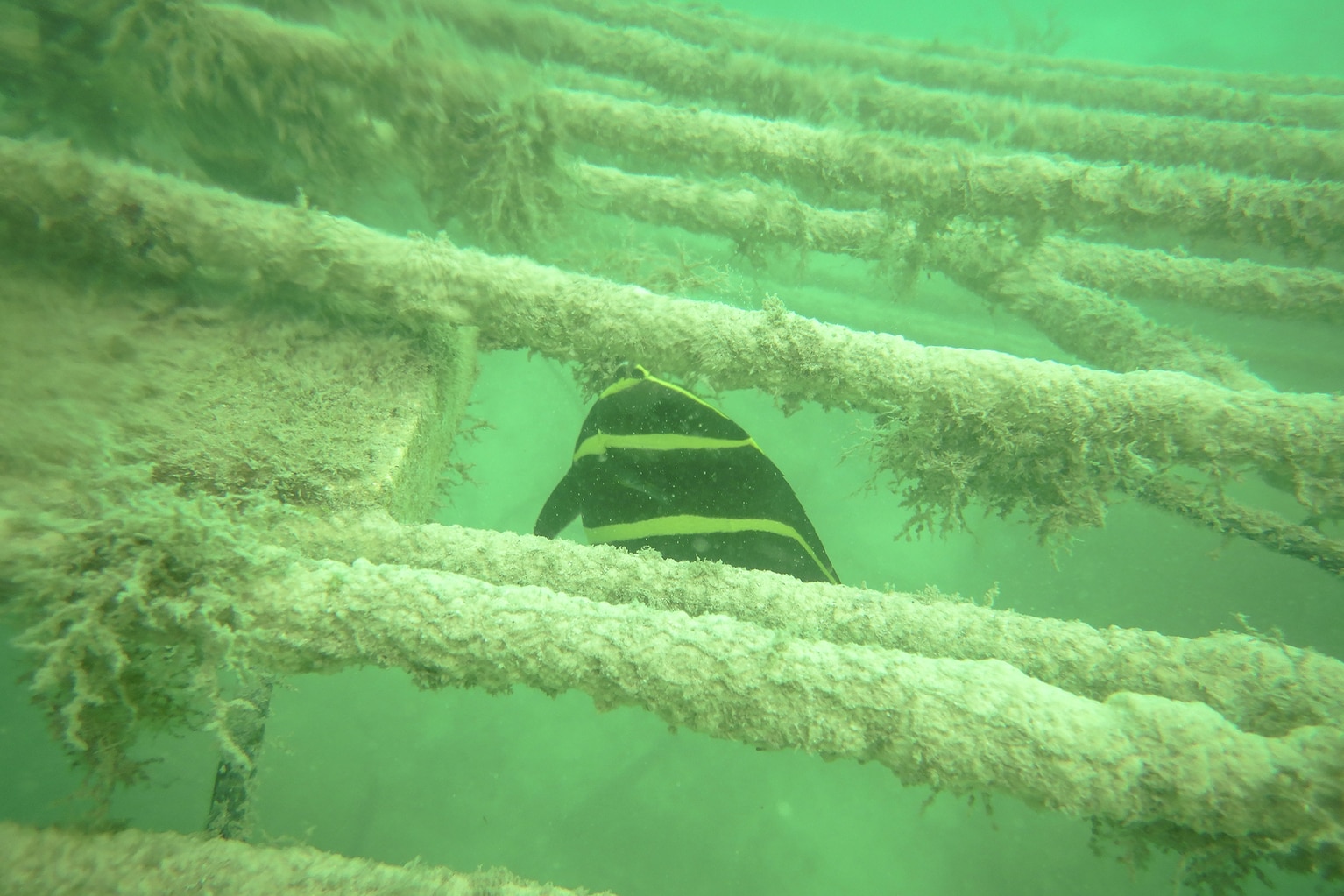 Combating Coastal Erosion Using Renewable Energy | Vicor